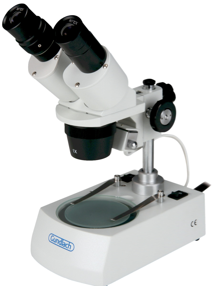 BIO-FOAM® Impression Foam – Cider House Tech