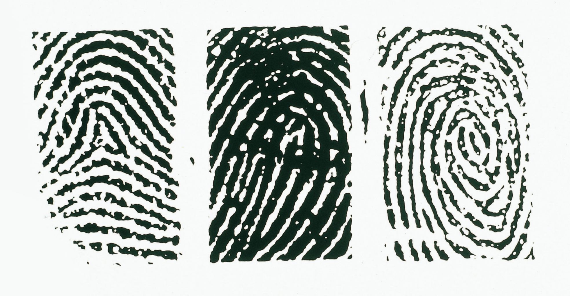 Ward’s® Fingerprint Types Slide Set – Cider House Tech
