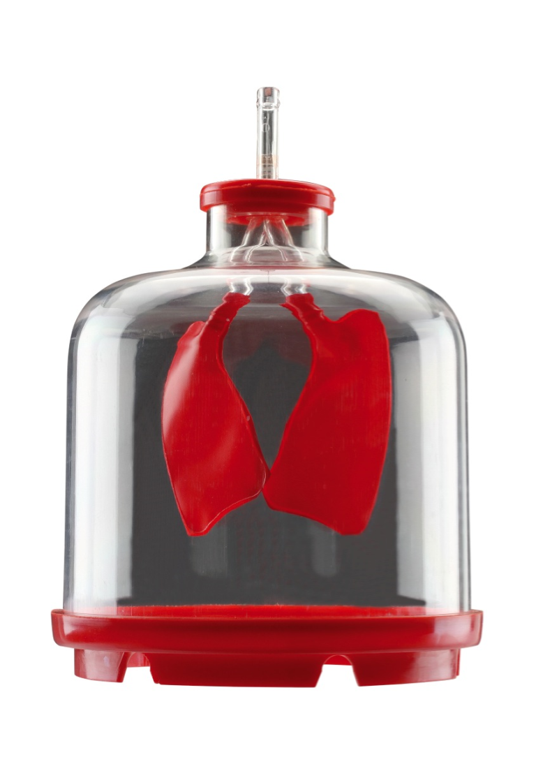 Lung function model – Cider House Tech